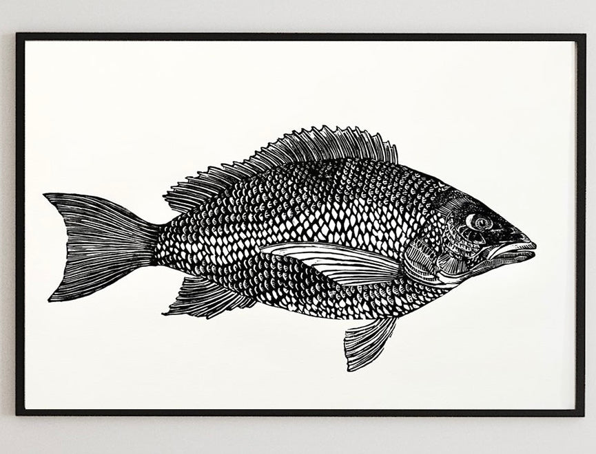 Red Snapper Print (linocut) by local artist Janet Hinton – Mobile Bay Shop